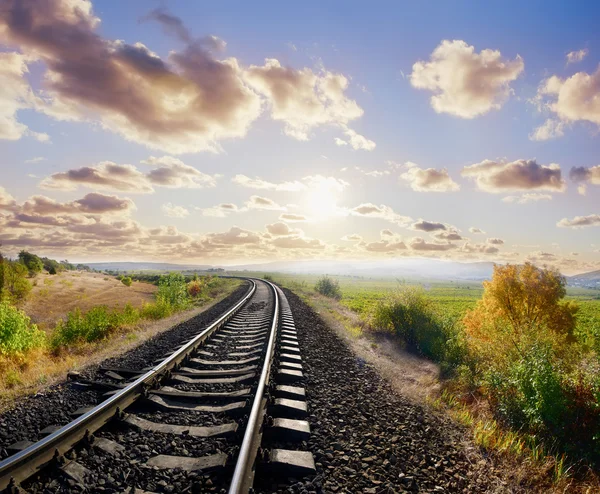 Railroad track — Stock Photo © Raimundas #6801466