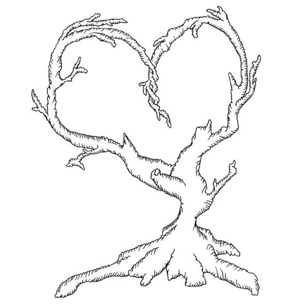 Tree Roots Drawing Heart