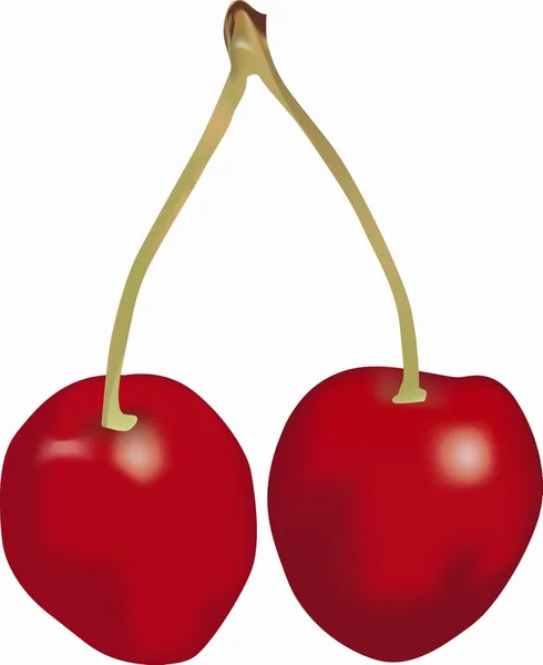 Two cherries Vector Art Stock Images | Depositphotos