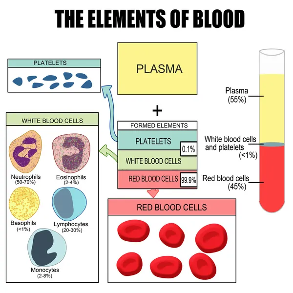 Platelets Diagram