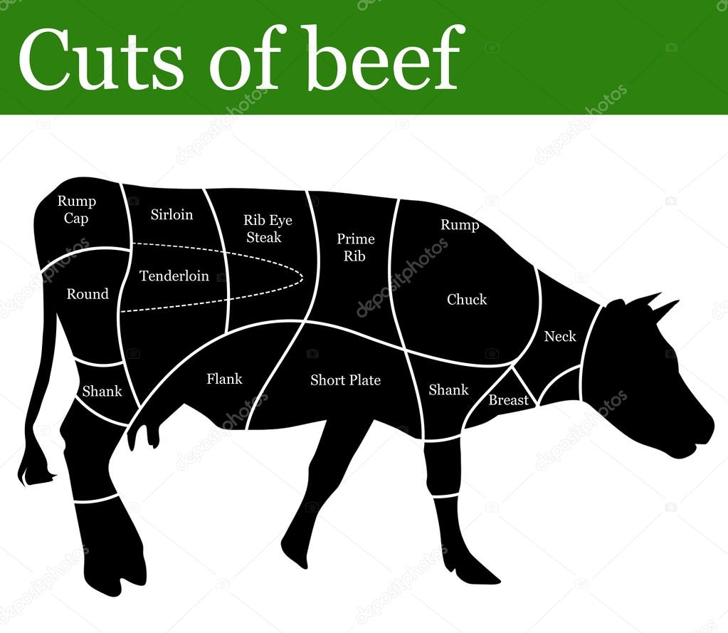 Cuts of beef ⬇ Vector Image by © roxanabalint | Vector Stock 29881297