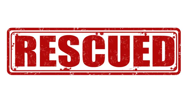 Rescued Stock Vectors, Royalty Free Rescued Illustrations | Depositphotos®