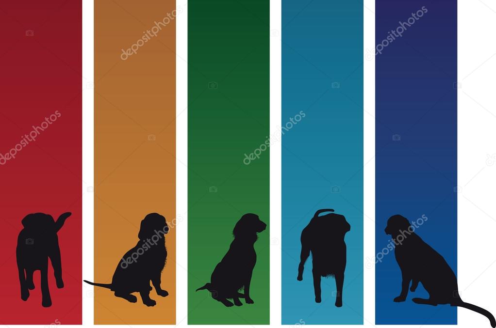 Colourful dog banners Stock Vector Image by ©jameschipper #12750809