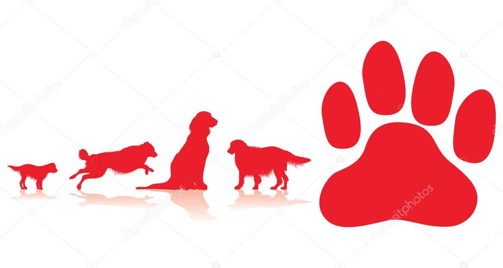Dog paws Stock Vector Image by ©jameschipper #13756127