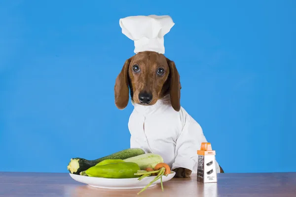 Fotos de stock de Perro cocinero chef, imágenes sin royalties de Perro ...