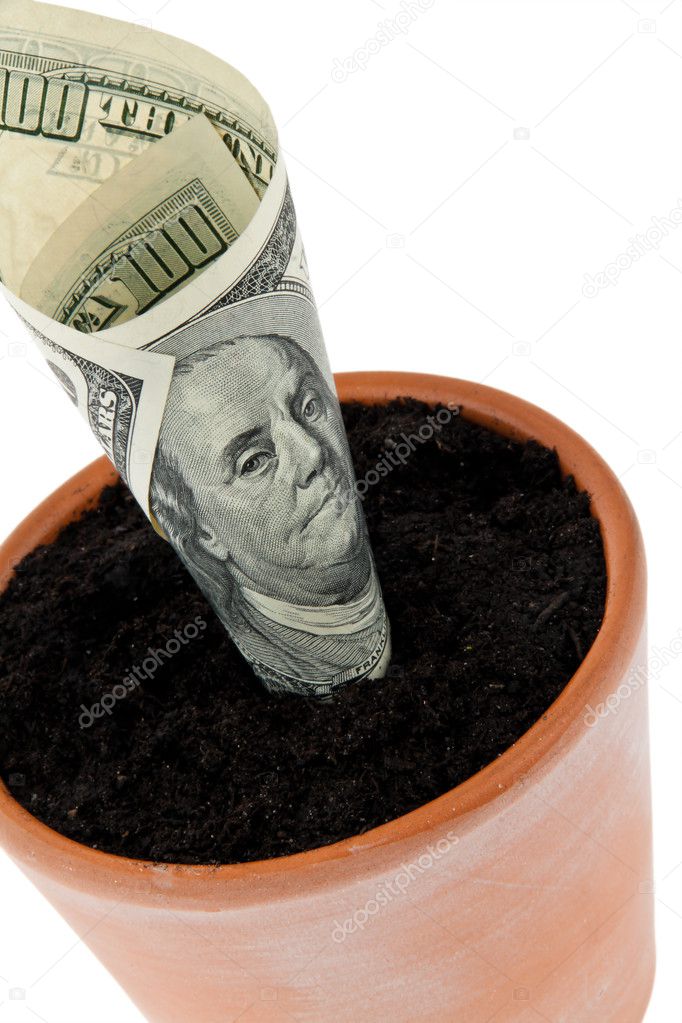 Dollar bill in flower pot. interest rates, growth. Stock Photo by ...