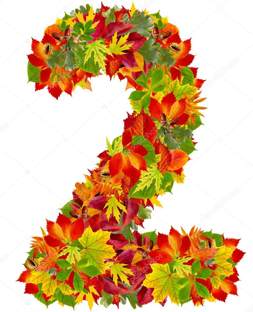 Number 2 made from autumn leaves, isolated on white Stock Photo by ...