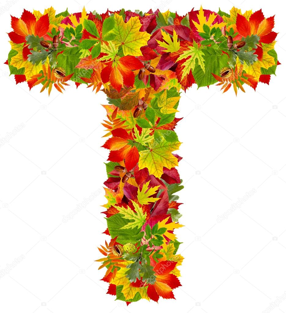 T, autumn alphabet isolated on white — Stock Photo © Byelikova #14353477