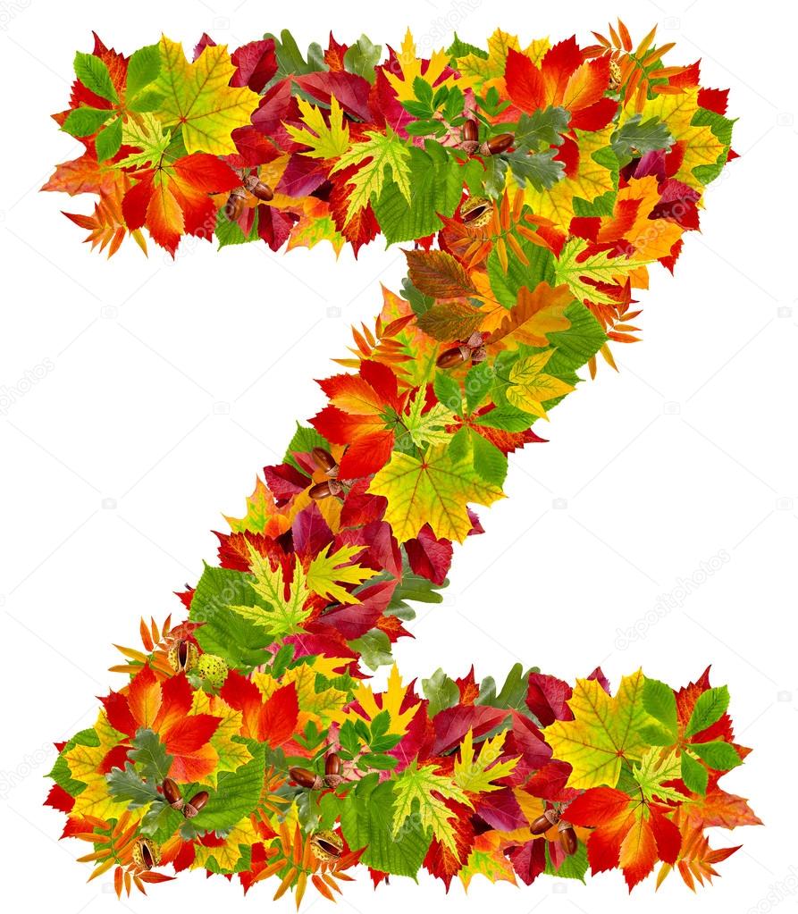 Z, autumn alphabet isolated on white — Stock Photo © Byelikova #14354369