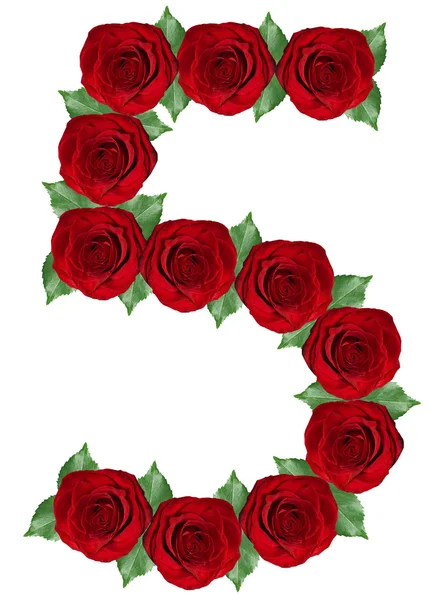 Alphabet made from red roses and green leaves — Stock Photo © Byelikova ...