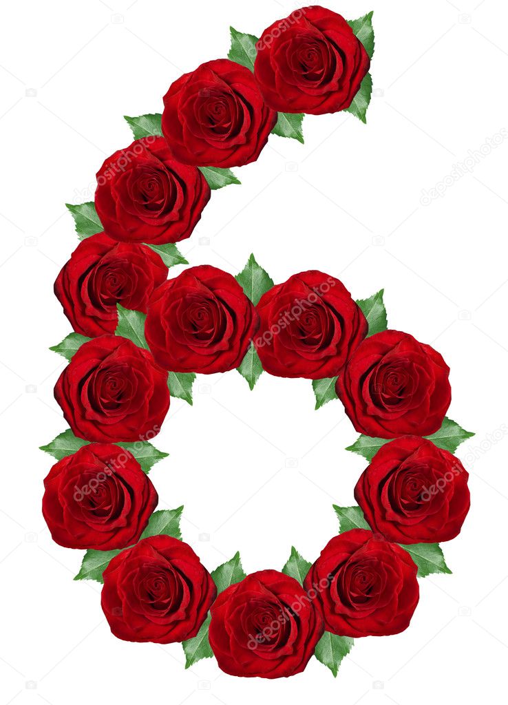 Number 6 made from red roses and green leaves — Stock Photo © Byelikova ...