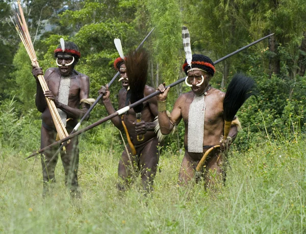 Warriors of a Papuan tribe in traditional clothes and coloring — Stock ...