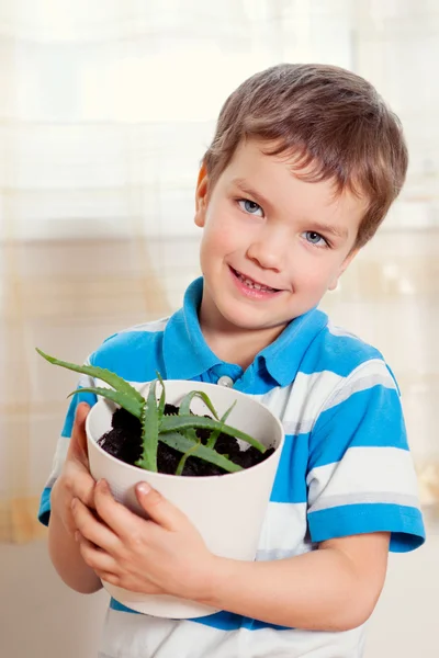 Boy puts plant in pot Stock Photo by ©rimdream 24764383