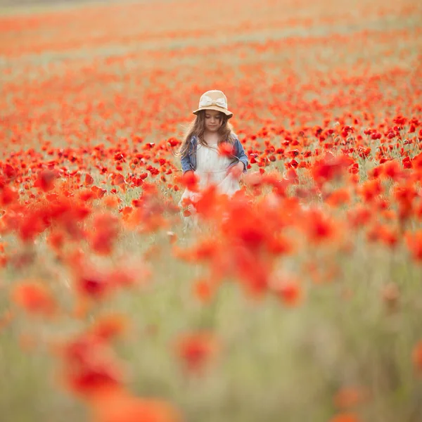 Poppy field woman Stock Photos, Royalty Free Poppy field woman Images ...
