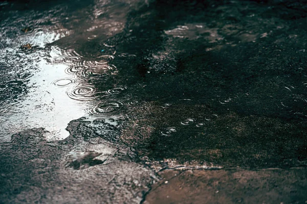 Puddle of rain Stock Photos, Royalty Free Puddle of rain Images ...