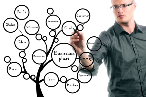Business plan tree Stock Photo by ©ronstik 13127213