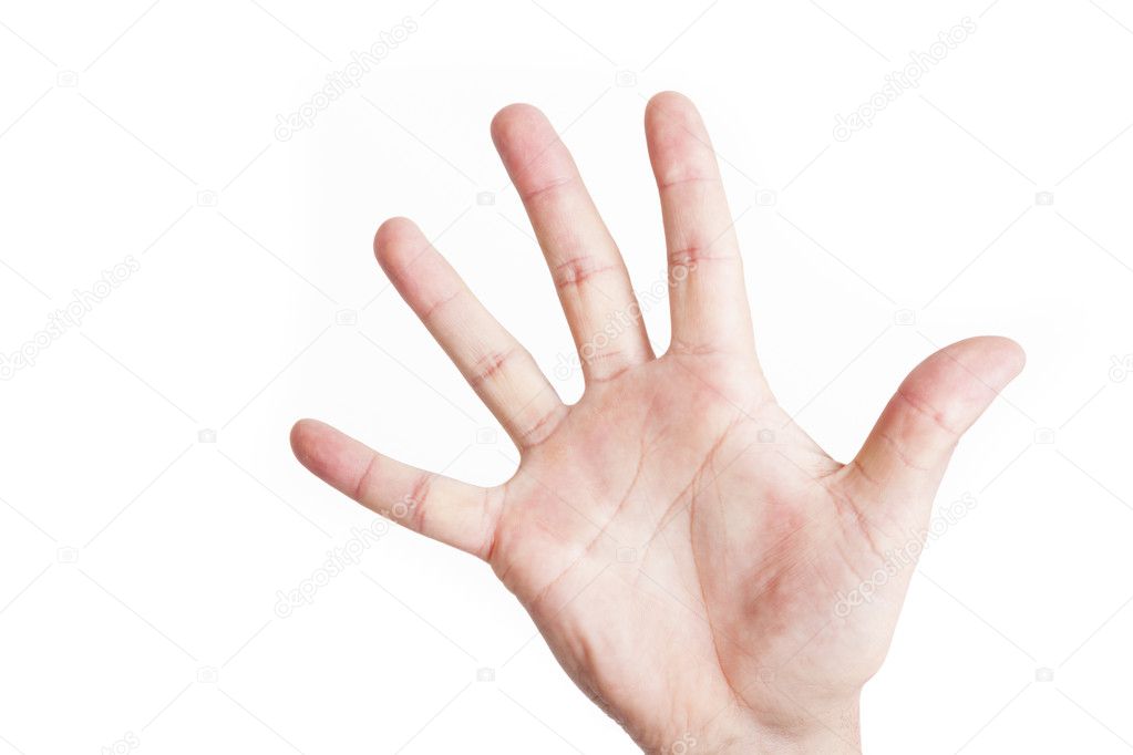 Open hand isolated on white background — Stock Photo © cristovao #42389089