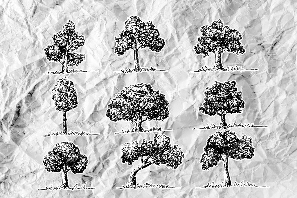 Set of trees with leaves on crumpled paper — Stock Photo © porjai #42600907