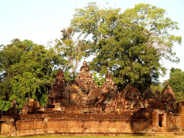 Trees in cambodia temples Stock Photos, Royalty Free Trees in cambodia ...
