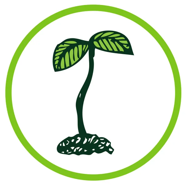 21,336,939 Ficus logo Vector Images | Depositphotos