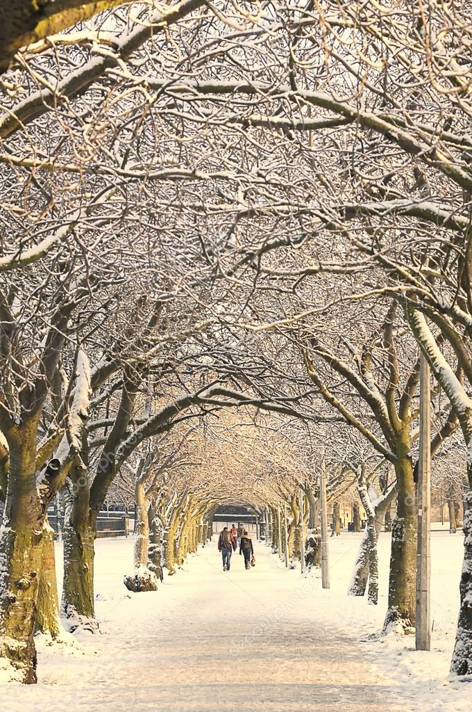 Winter pathway, Edinburgh, Scotland — Stock Photo © StockCube #19965511