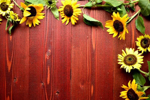 Fall border with sunflowers on a grunge wood background — Stock Photo ...