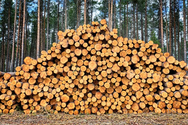 Stacked logs Stock Photos, Royalty Free Stacked logs Images | Depositphotos