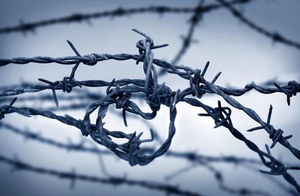 Barbed wire Stock Photos, Royalty Free Barbed wire Images | Depositphotos