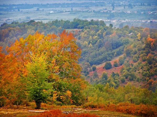 Autumn hillside Stock Photos, Royalty Free Autumn hillside Images ...