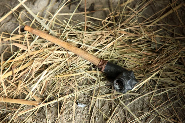 Moineau nid images libres de droit, photos de Moineau nid | Depositphotos