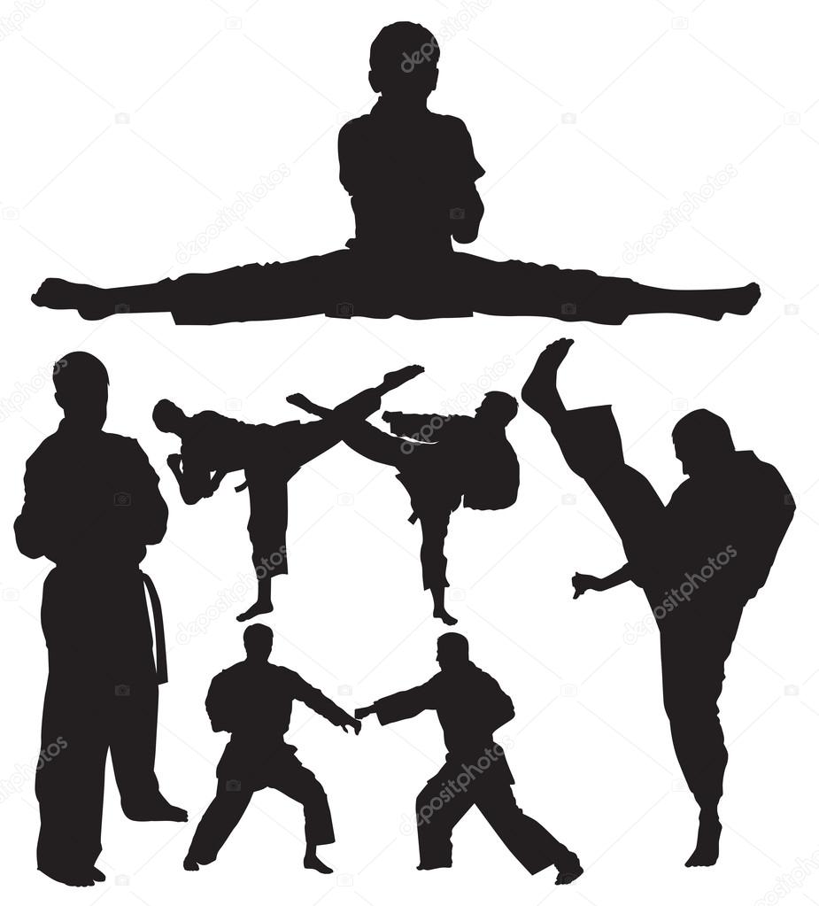 Karate vector — Stock Vector © YurikswO #12096660