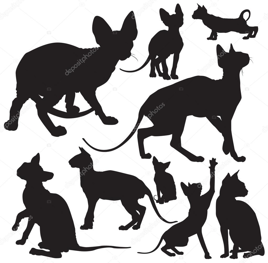 Kat Sphinx Vectorafbeelding Door © Yurikswo ⬇ Vectorstock 13295141