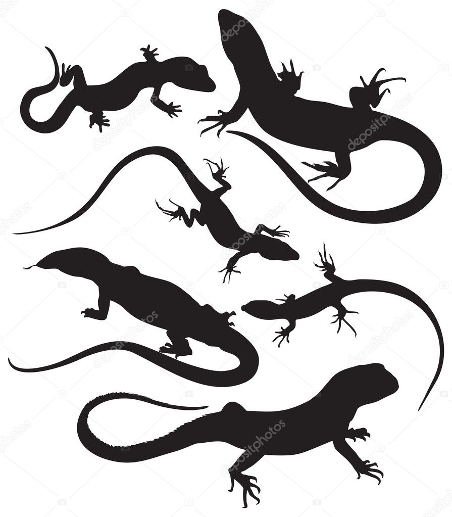 Vector lizards — Stock Vector © YurikswO #21211361