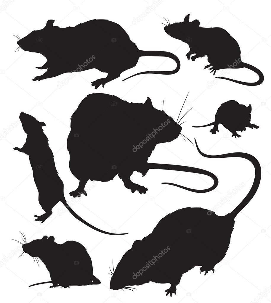 Rats vector Stock Vector Image by ©YurikswO #22283021