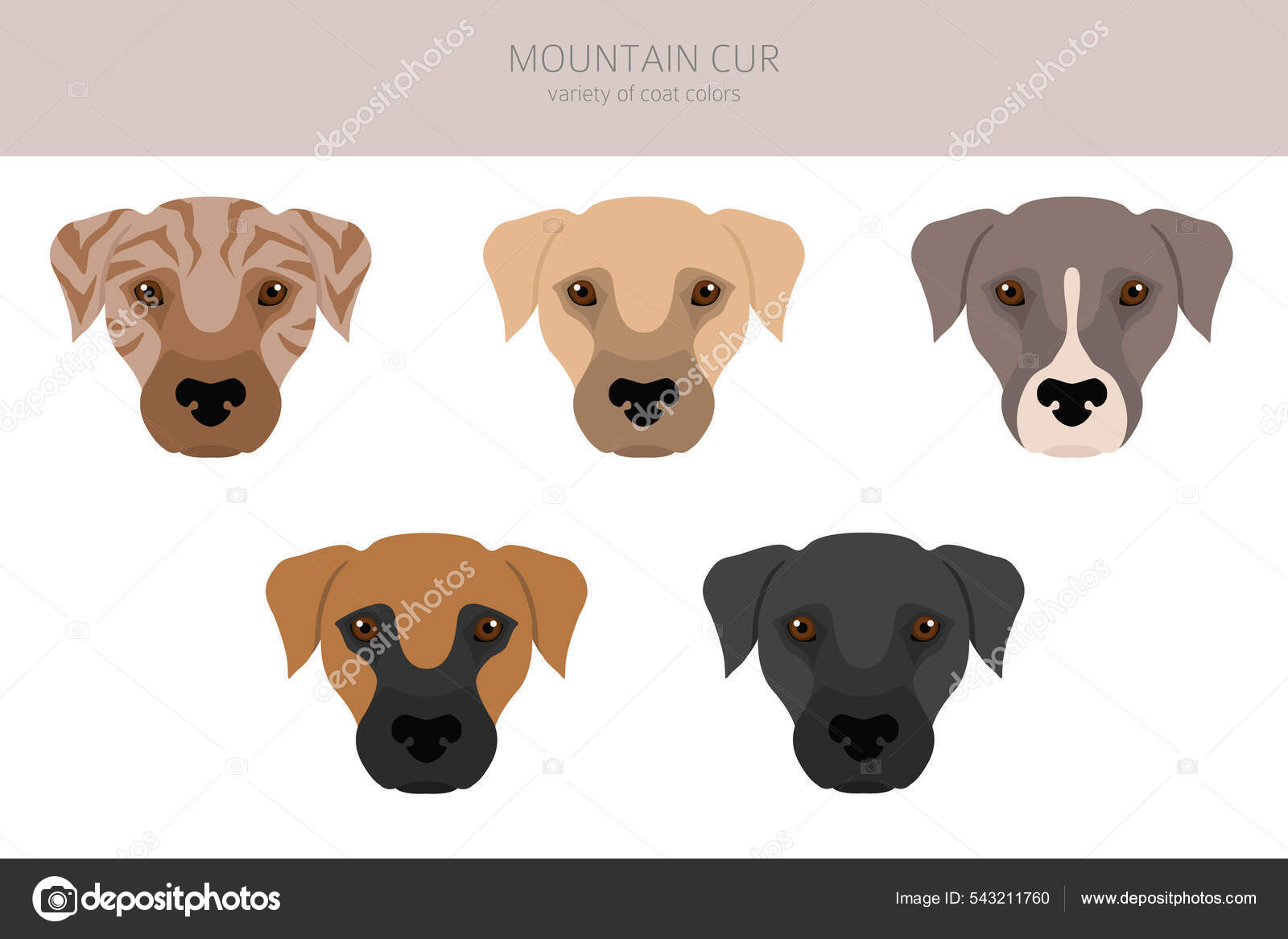 Mountain Cur Clipart Different Poses Coat Colors Set Vector ...
