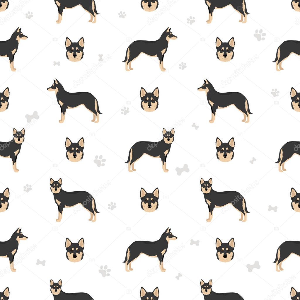 Lapponan Herder patr n sin costuras. Distintas poses, colores del abrigo establecidos. Ilustraci ...