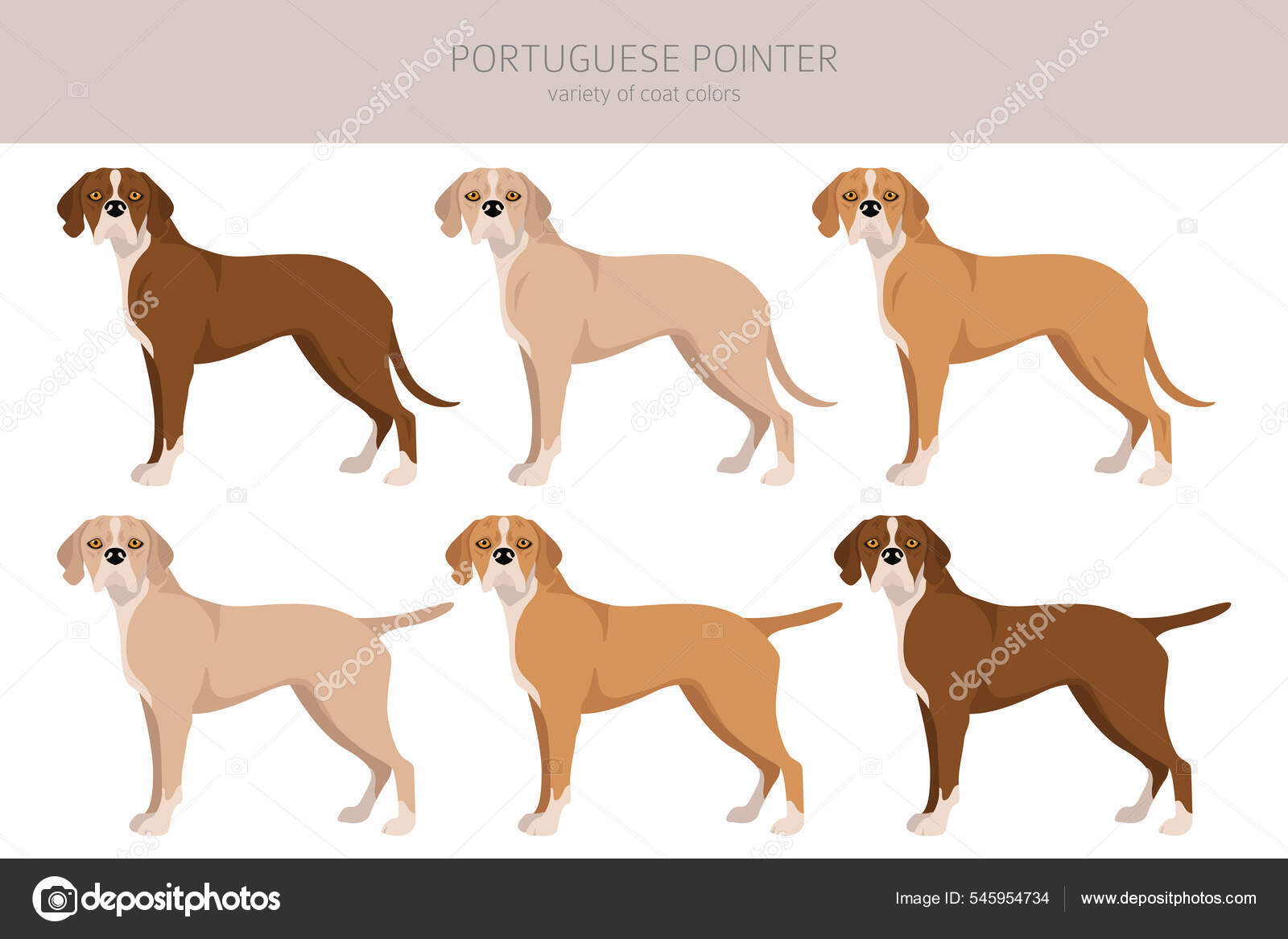 Clipart De Perro Pointer