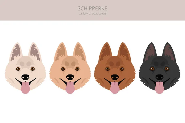 Aidi Clipart Different Poses Coat Colors Set Vector Illustration Vector de stock por ©A7880S ...