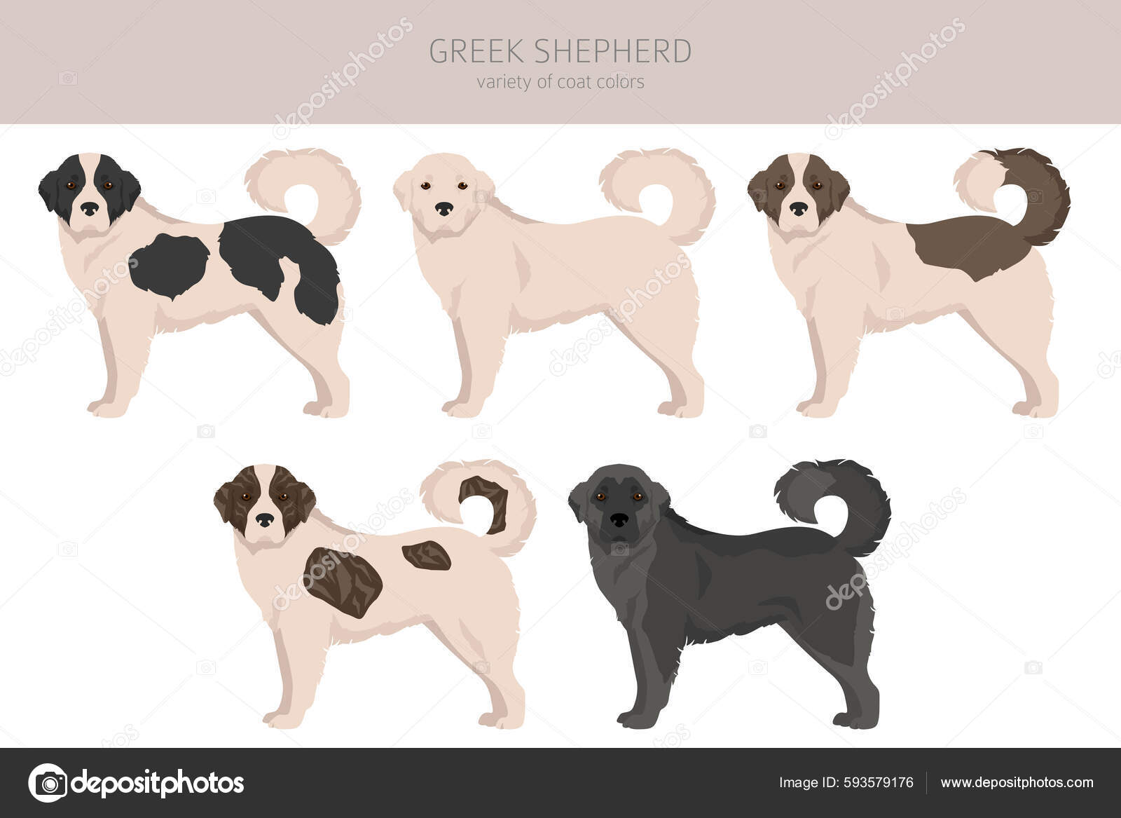 What Is The Purpose Of A Greek Shepherd