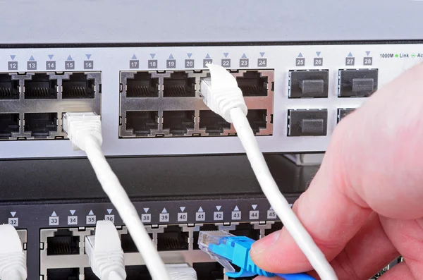 Dhcp Stock Photos, Royalty Free Dhcp Images | Depositphotos