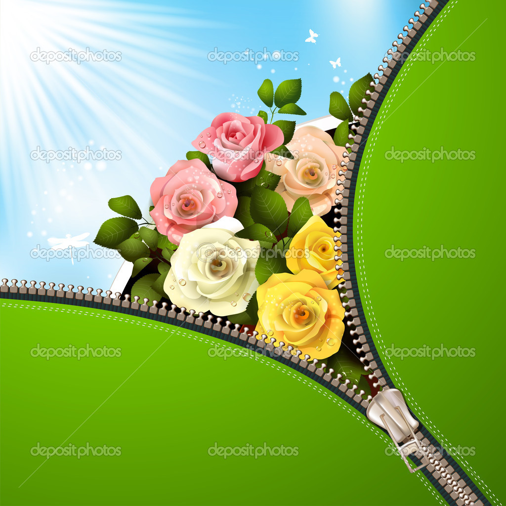 Metallic zipper with roses Stock Vector by ©Merlinul 41724781