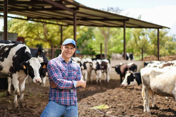 Man cowboy at cow farm ranch - Stock Image - Everypixel