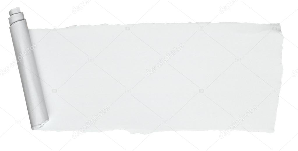 White crumpled curled scroll note paper Stock Photo by ©PicsFive 13702584