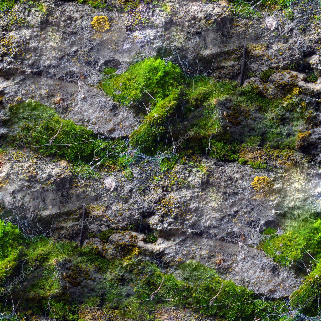 Seamless texture with mold moss and cobwebs Stock Photo by ©maxximmm1 ...