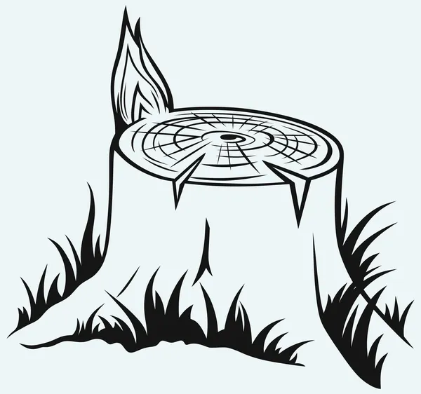 Draw old tree stump Vector Art Stock Images | Depositphotos