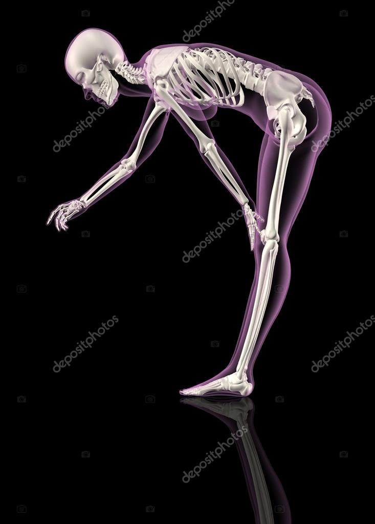Female skeleton bending over — Stock Photo © kjpargeter #38896969