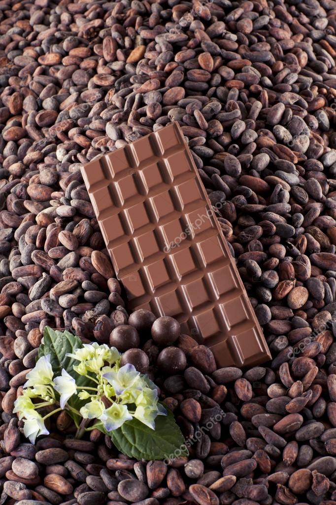 Milk chocolate on cocoa beans Stock Photo by ©elegor 22862106