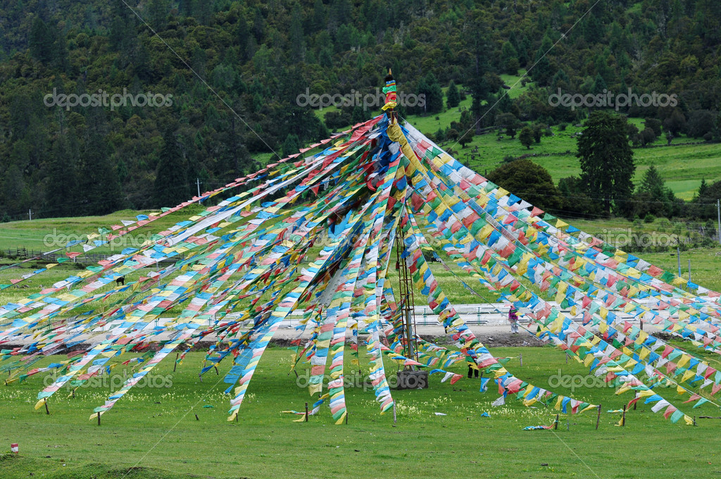 Buddhist prayer flags — Stock Photo © bbbbar #30693287