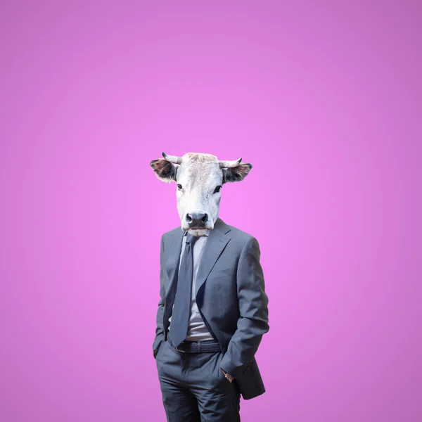 Bull head Stock Photos, Royalty Free Bull head Images | Depositphotos