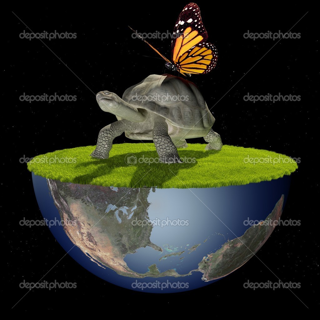 The tortoise. Stock Photo by ©Iurii 12756548